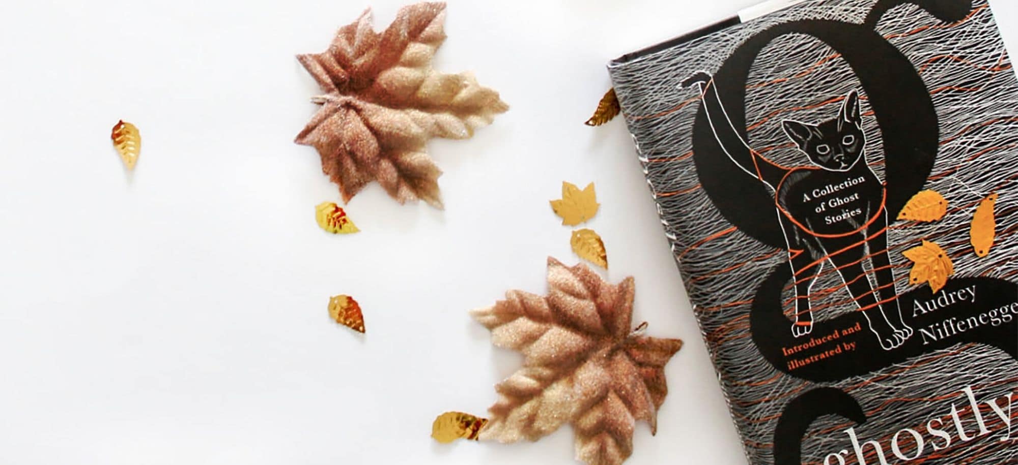 Using PicMonkey to Create Book Teasers for Marketing | Naomi D ...